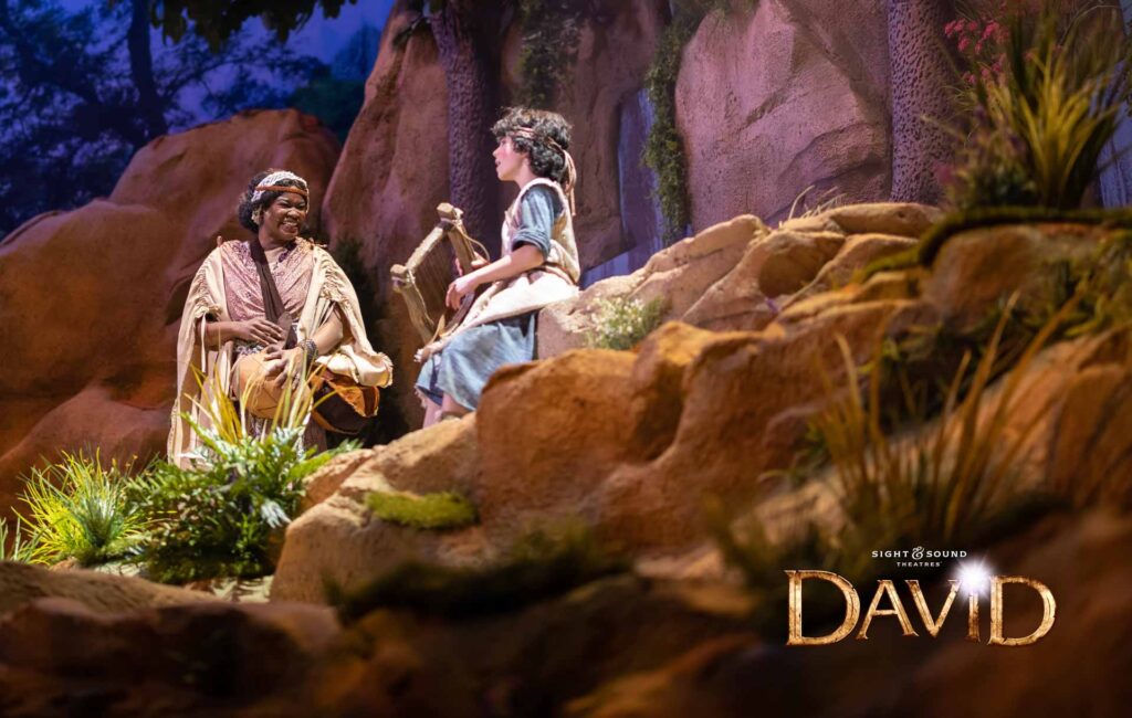 David - Branson Ticket & Travel