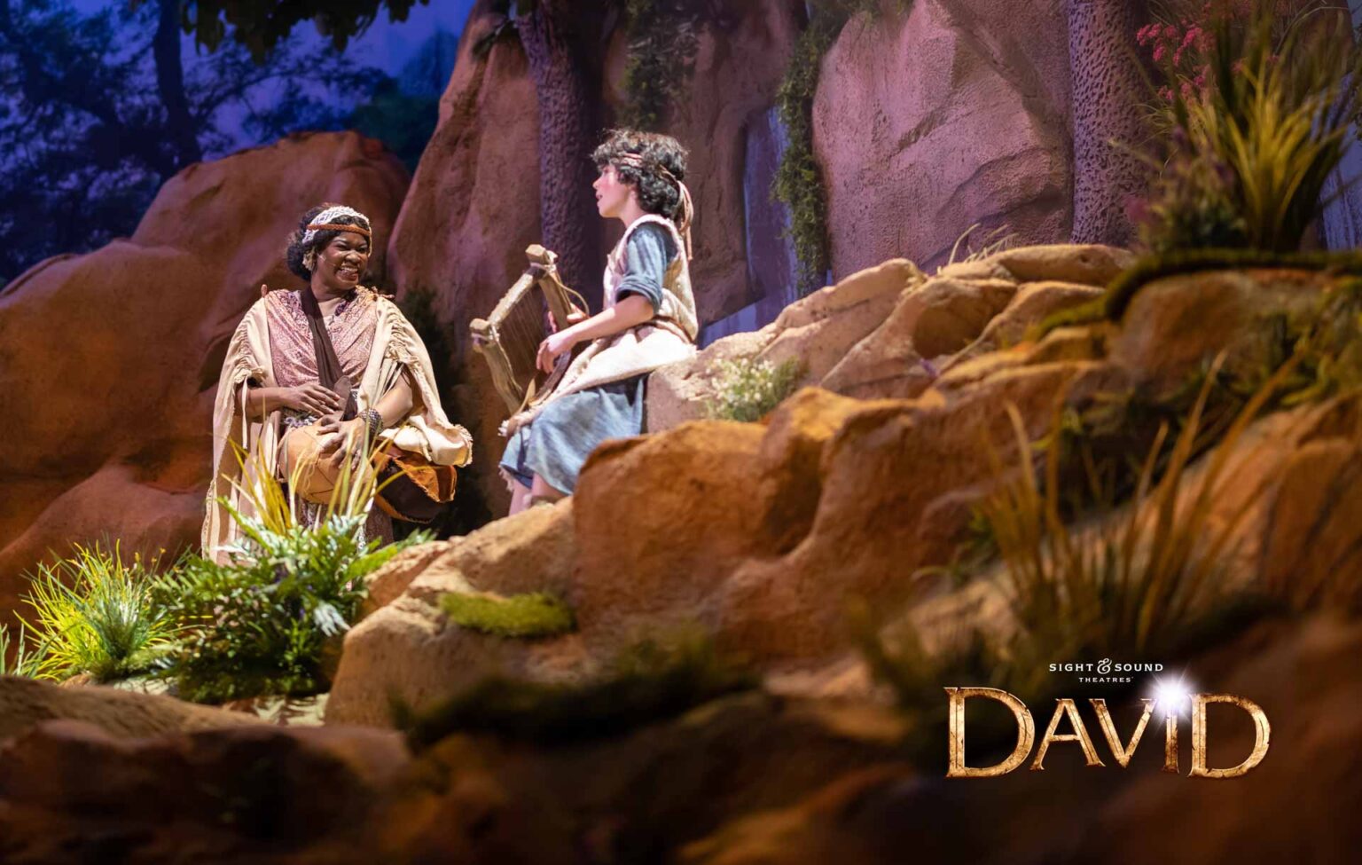 David - Branson Ticket & Travel