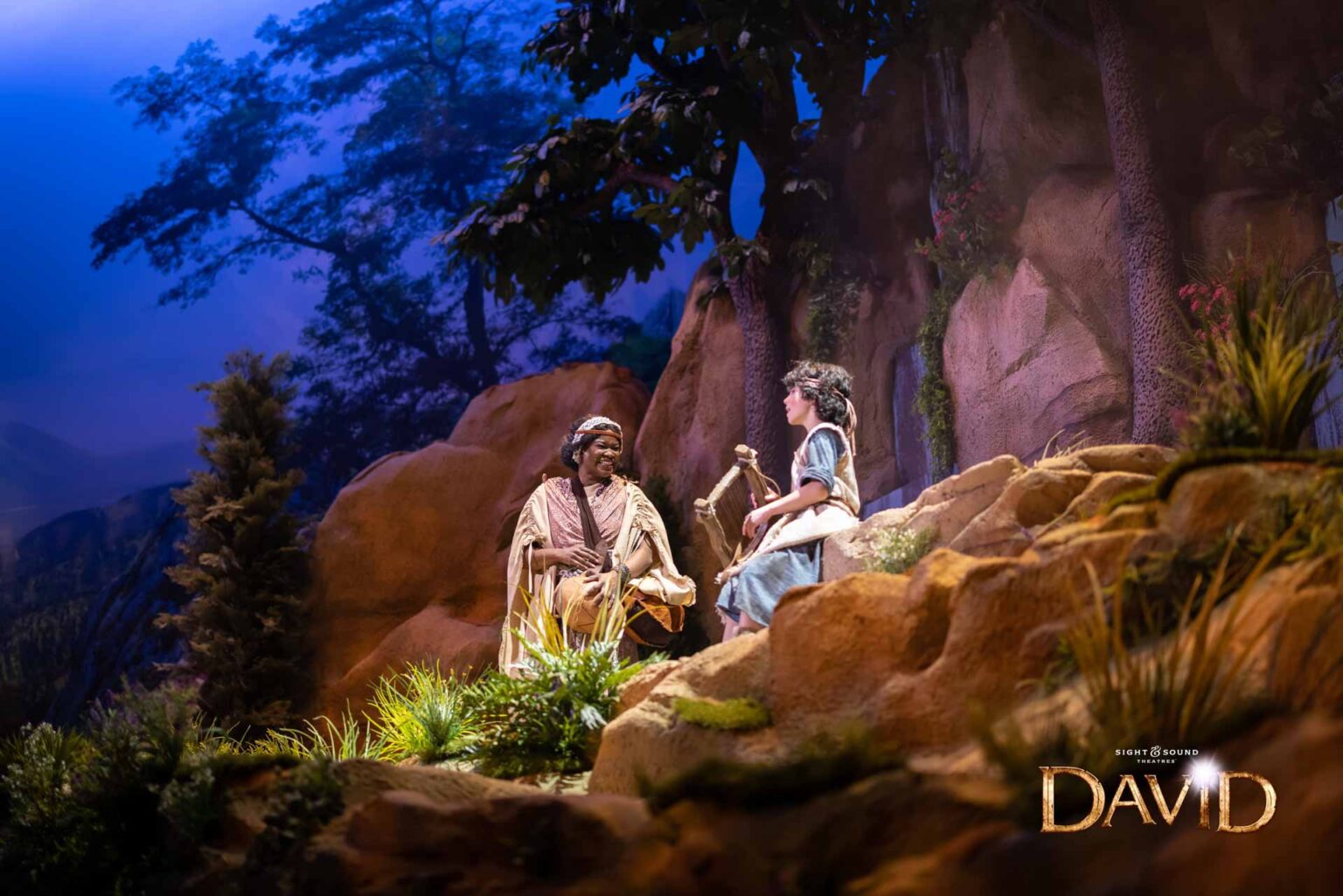 David - Branson Ticket & Travel